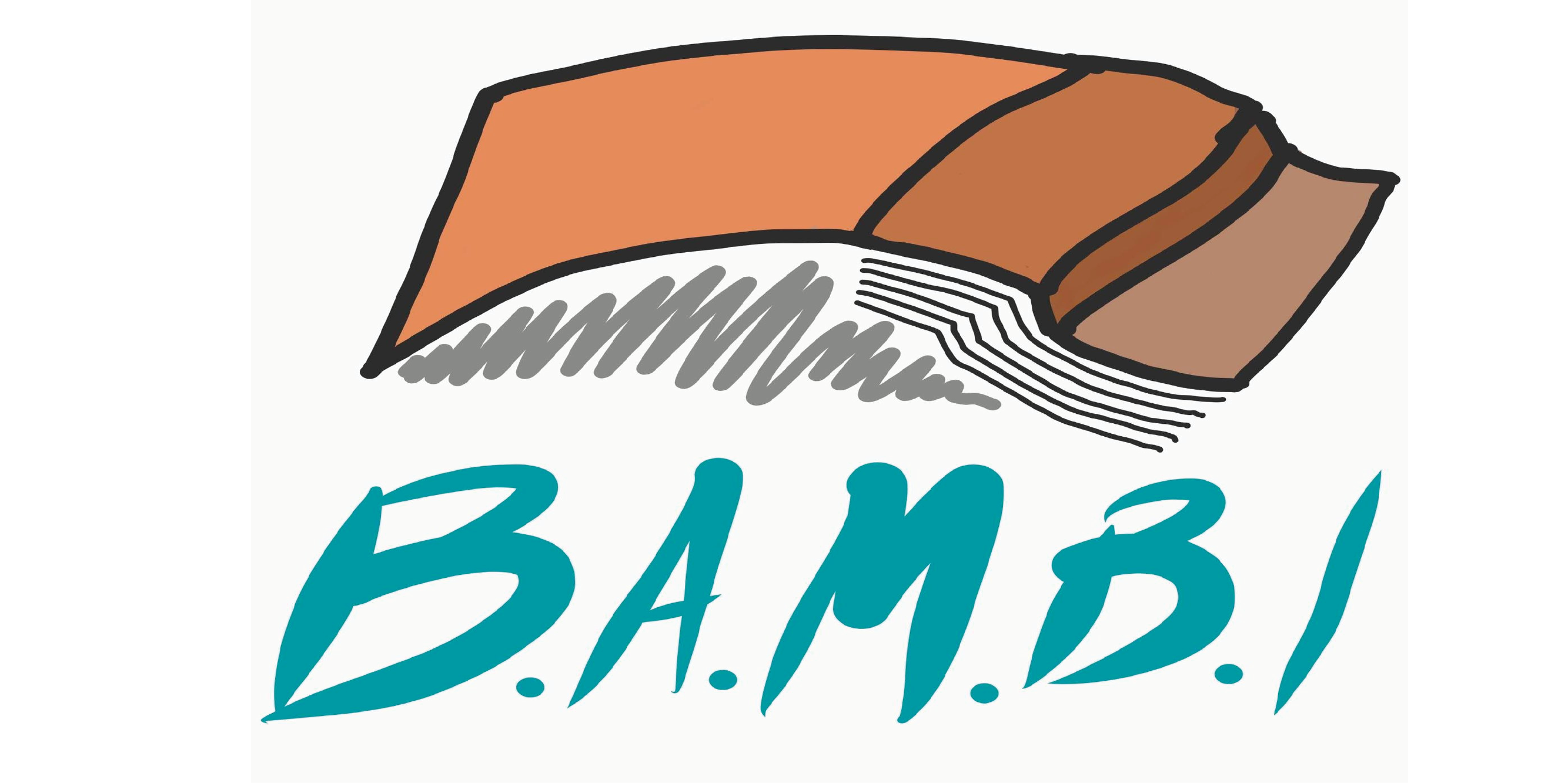 The Bedform Analysis Method for Bathymetric Information (BAMBI) – Julia ...